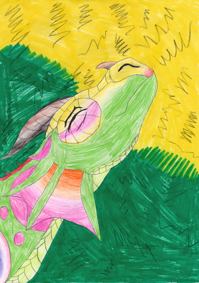 Book Cover Contest Winners 2021 - Daniel Boone Regional Library