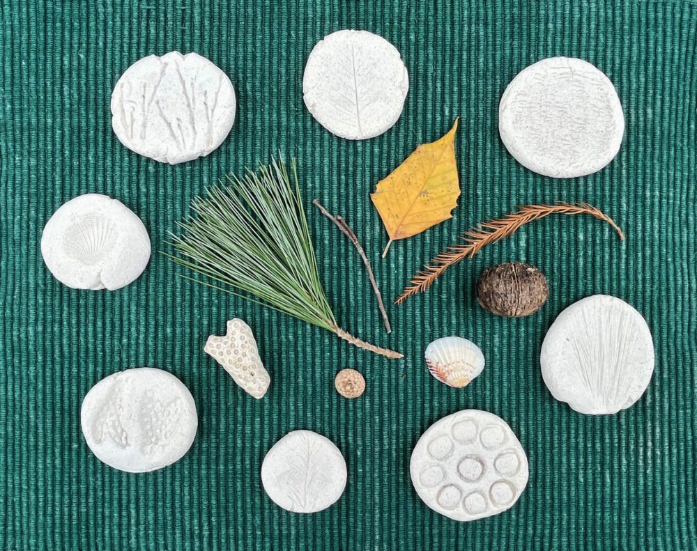 Homemade Clay Nature Imprints - Daniel Boone Regional Library