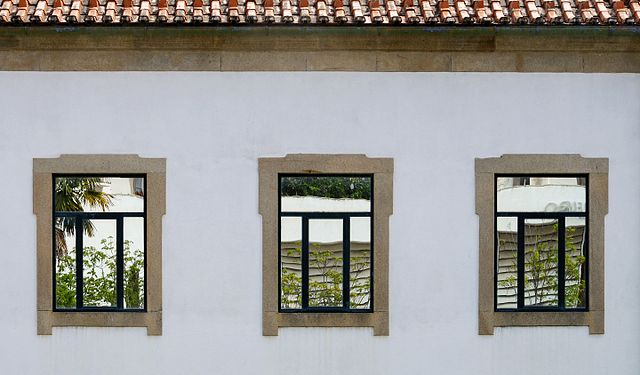 Literary Links: Windows and Mirrors - Daniel Boone Regional Library