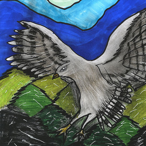 Book Cover Contest Winners 2023 - Daniel Boone Regional Library