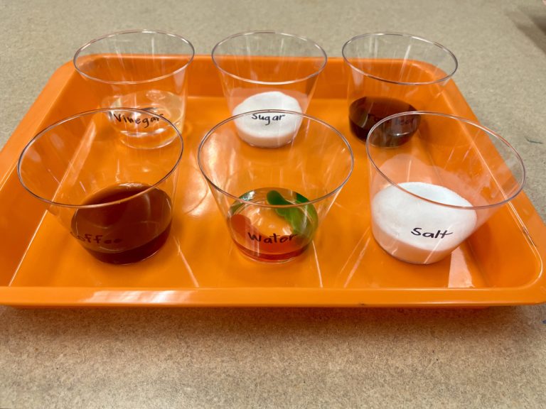 Shrink or Grow? Gummy Worm Experiment - Daniel Boone Regional Library