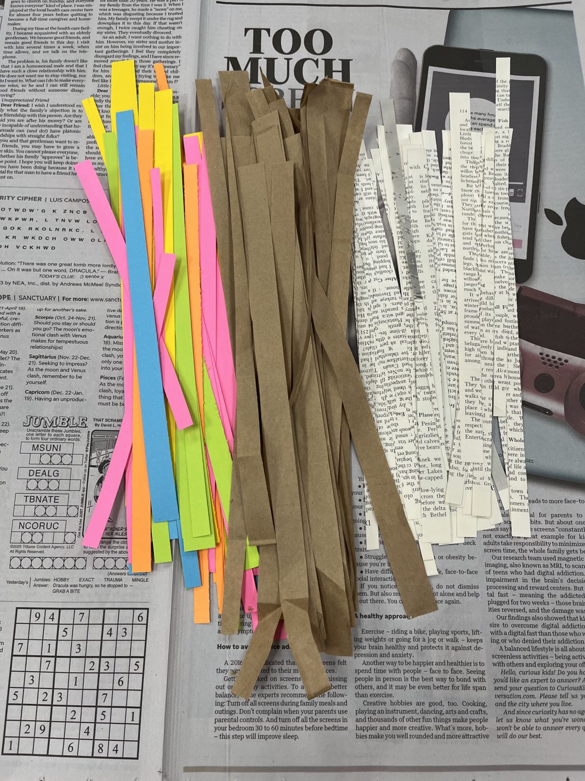 Paper Mache Bird Nest - Daniel Boone Regional Library