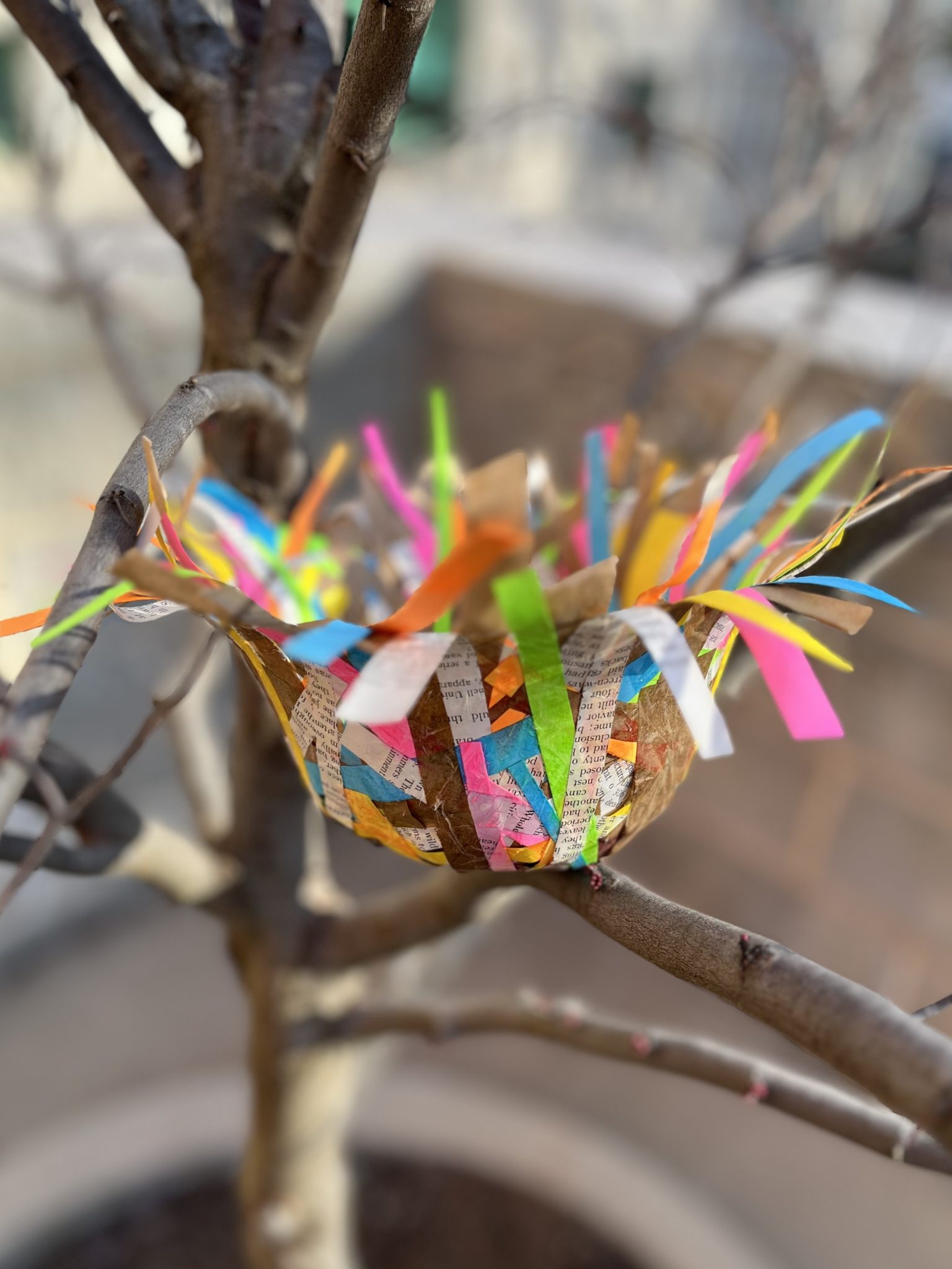 Paper Mache Bird Nest - Daniel Boone Regional Library