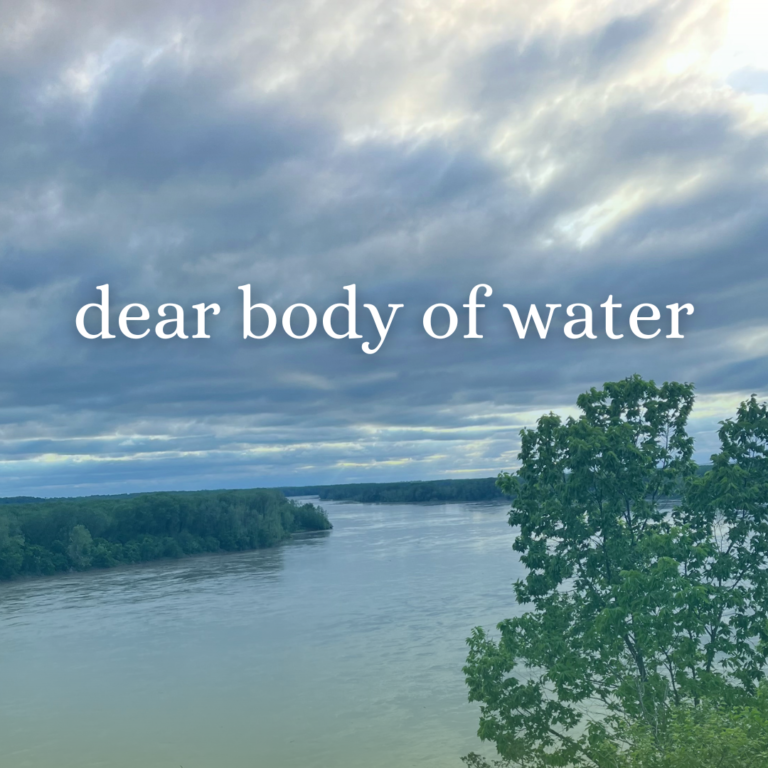 dear body of water: a poetic water-harvesting project 🌊 - Daniel Boone ...